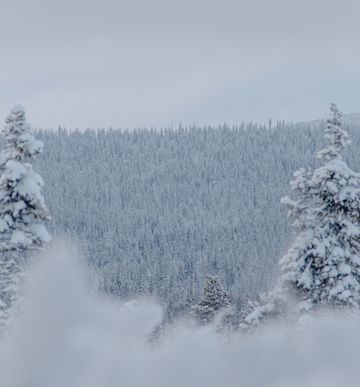 Outnorth - The best of scandinavian outdoor